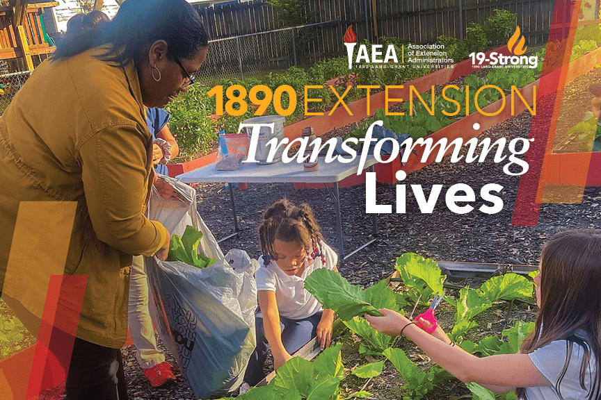 Association of Extension Administrators home page
